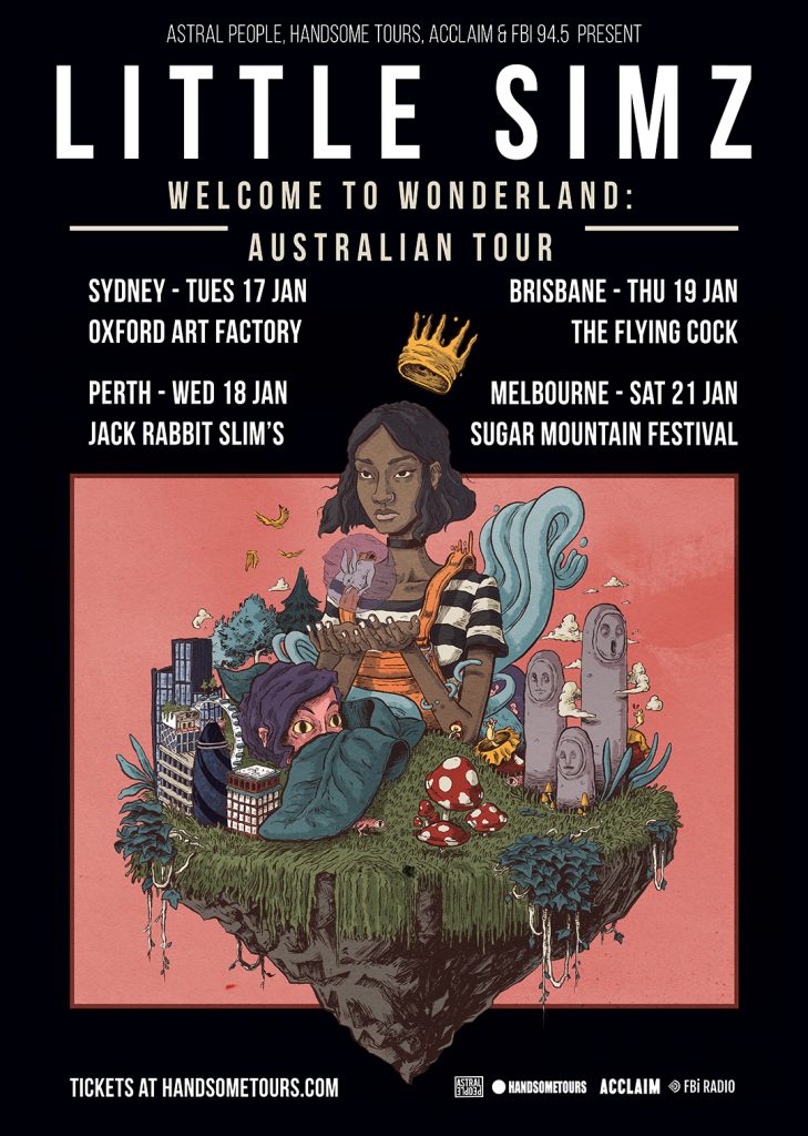 LITTLE SIMZ · Handsome Tours